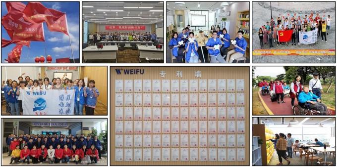 China Wuxi Weifu Environmental Catalysts Co., Ltd. company profile